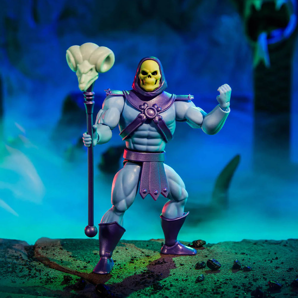 SKELETOR X VEEFRIENDS 2PACK - MASTERS OF THE UNIVERSE ORIGINS – Bee Geek Collectibles